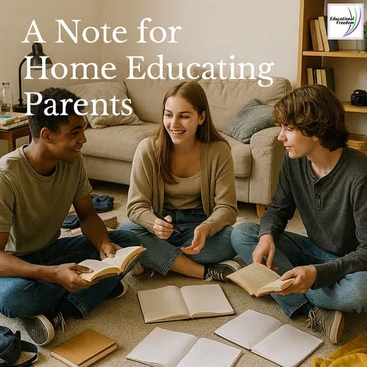 Home educating a teen and ensuring they don't become isolated ...